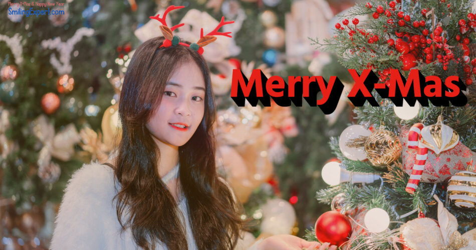 Merry Christmas Wishes in Hindi - Smiling Expert